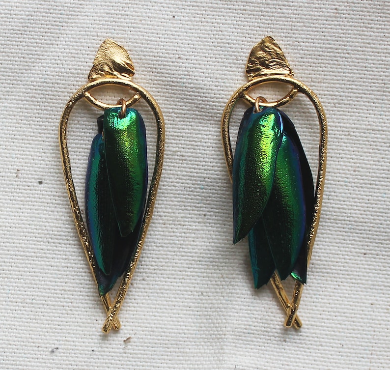Arched Seasons - Enclosed Beetle Wing Earrings - Etsy