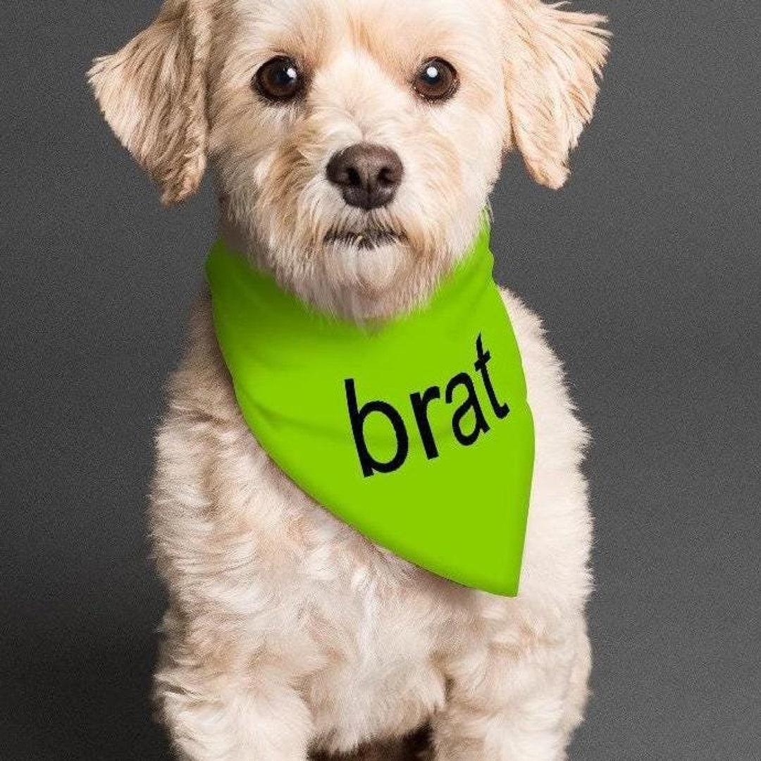 Brat Charli XCX Pet Scarf, Brat Summer Dog Bandana, Charlixcx Cat ...
