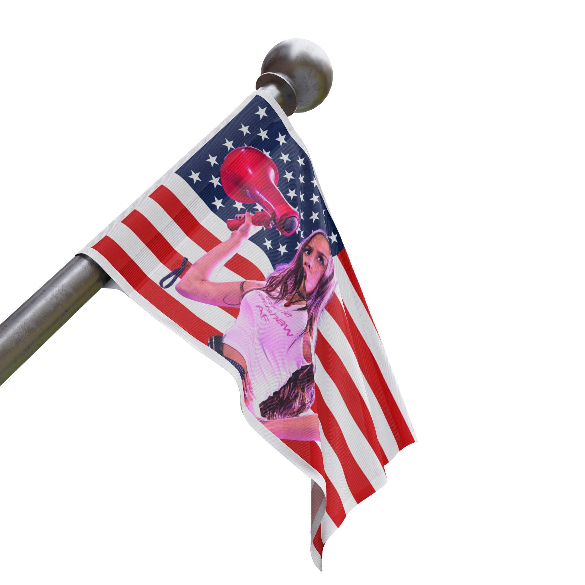 Olivia Rodrigo X American Flag 18x 12 - Etsy