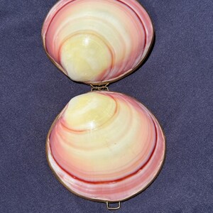 Vintage Clamshell Trinket Box Pill Box - Etsy