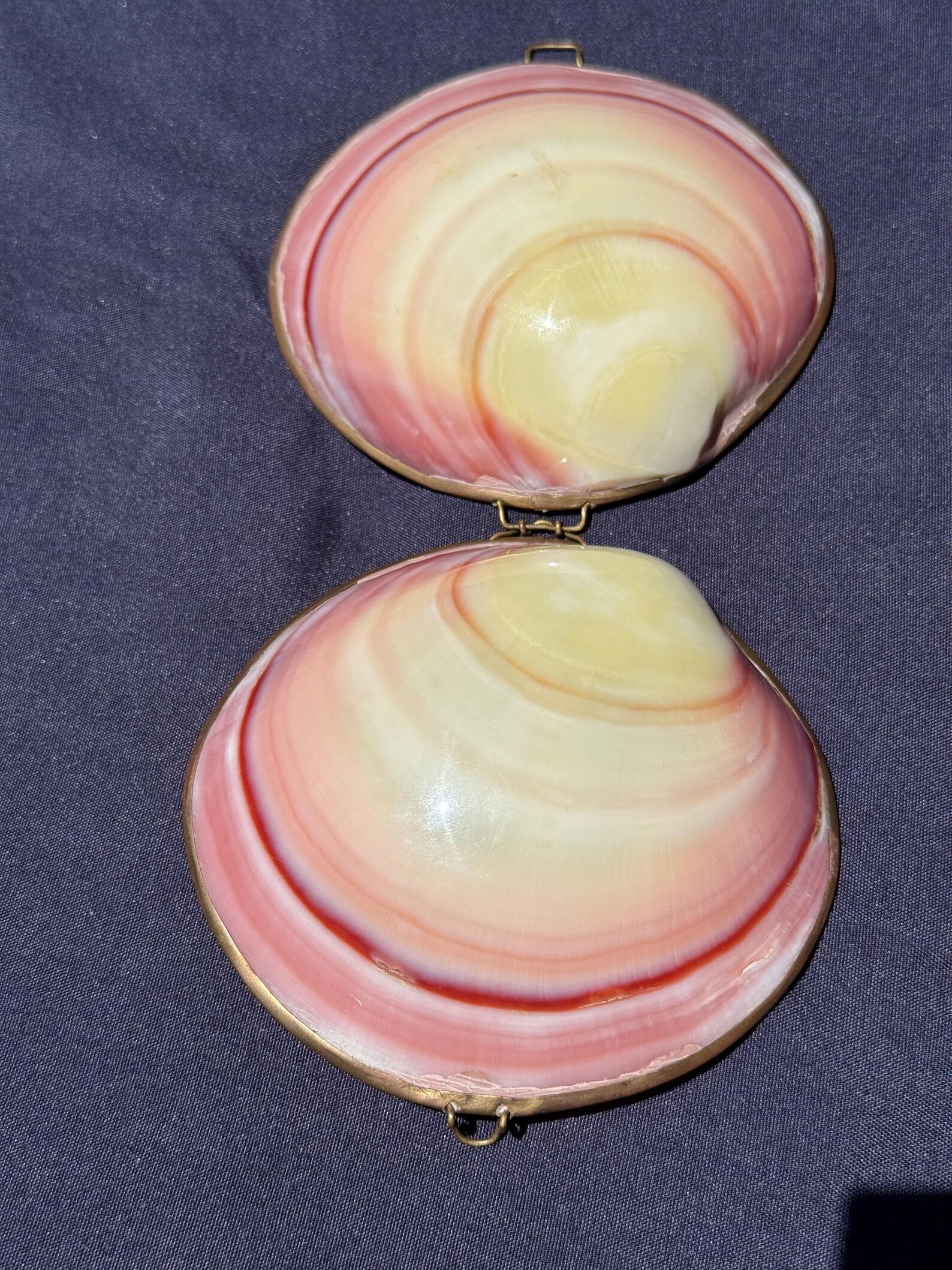 Vintage Clamshell Trinket Box Pill Box - Etsy