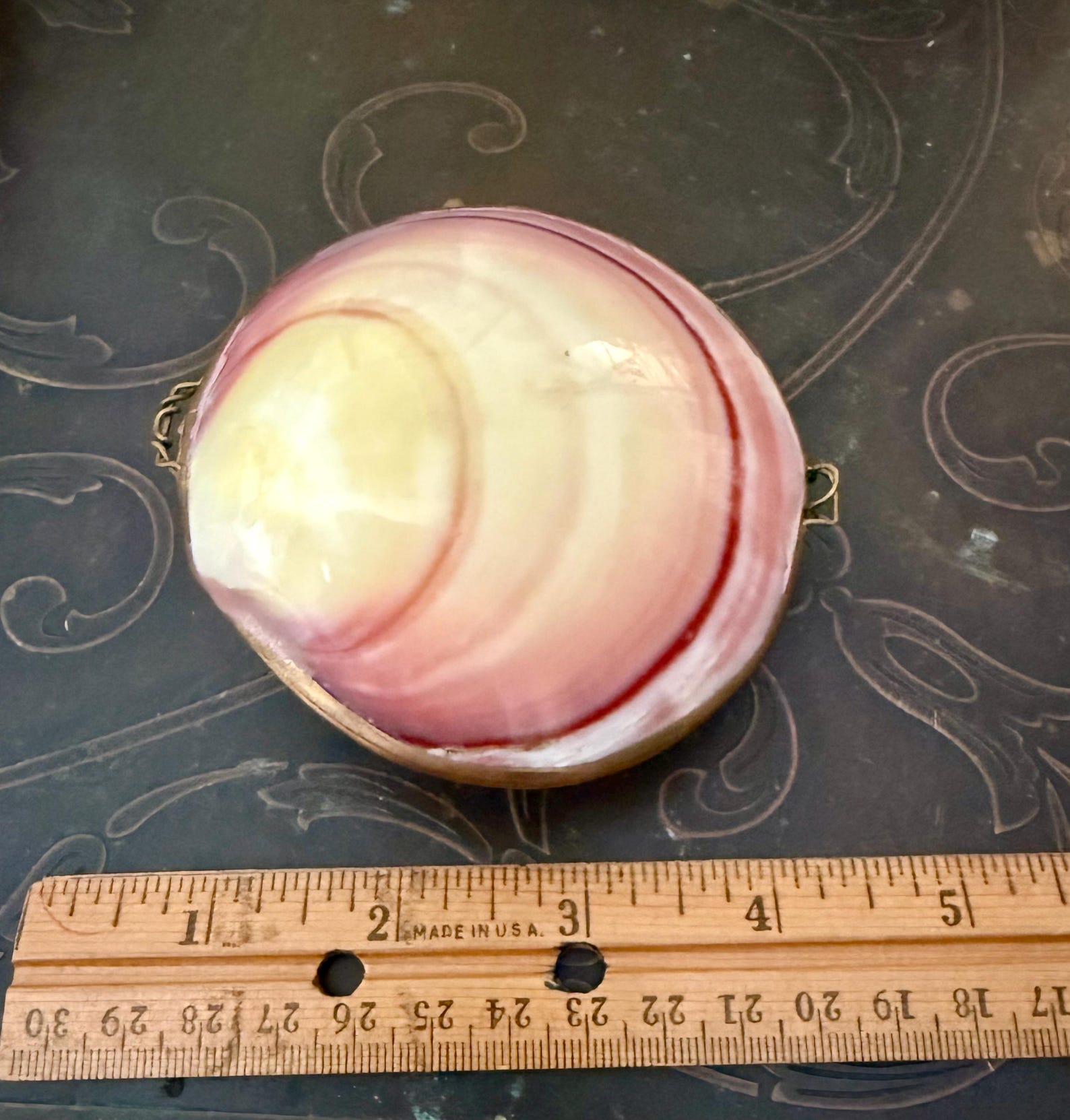 Vintage Clamshell Trinket Box Pill Box - Etsy