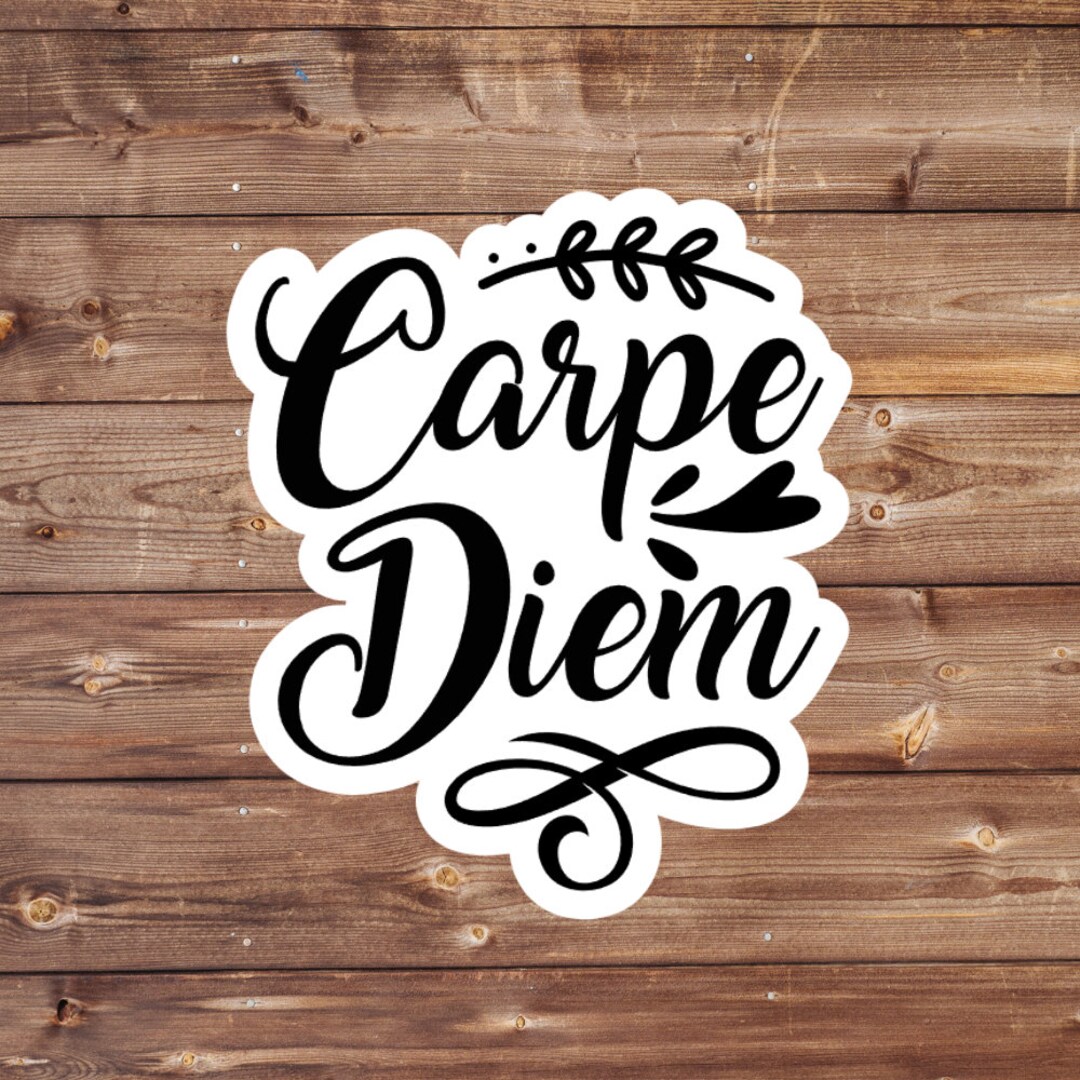 Carpe Diem Sticker, Seize the Day Sticker, Motivational Sticker, Water ...