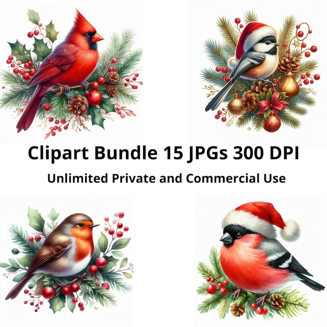 Winter Birds Clipart 15 JPG, Winter Clipart, Bird Clipart, Animal ...