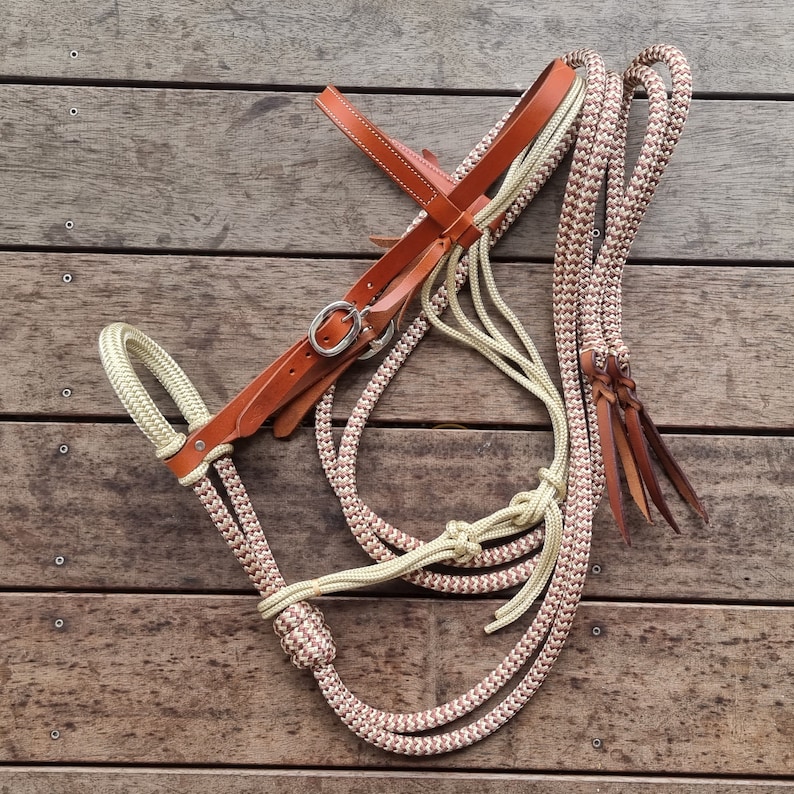 Loping Hackamore Bitless Bridle - Etsy