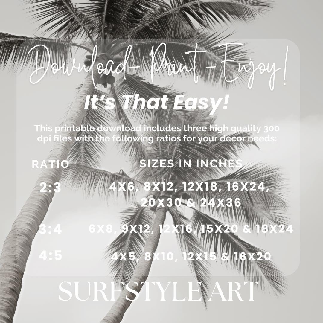 Black and White Palm Tree Photo Palm Tree Art Palm Tree Print Black ...