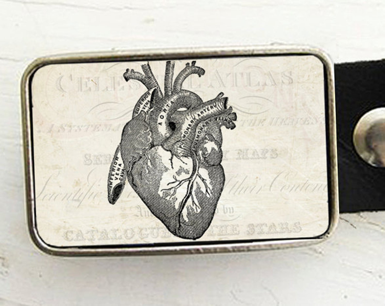 Anatomical Heart Belt Buckle - Etsy