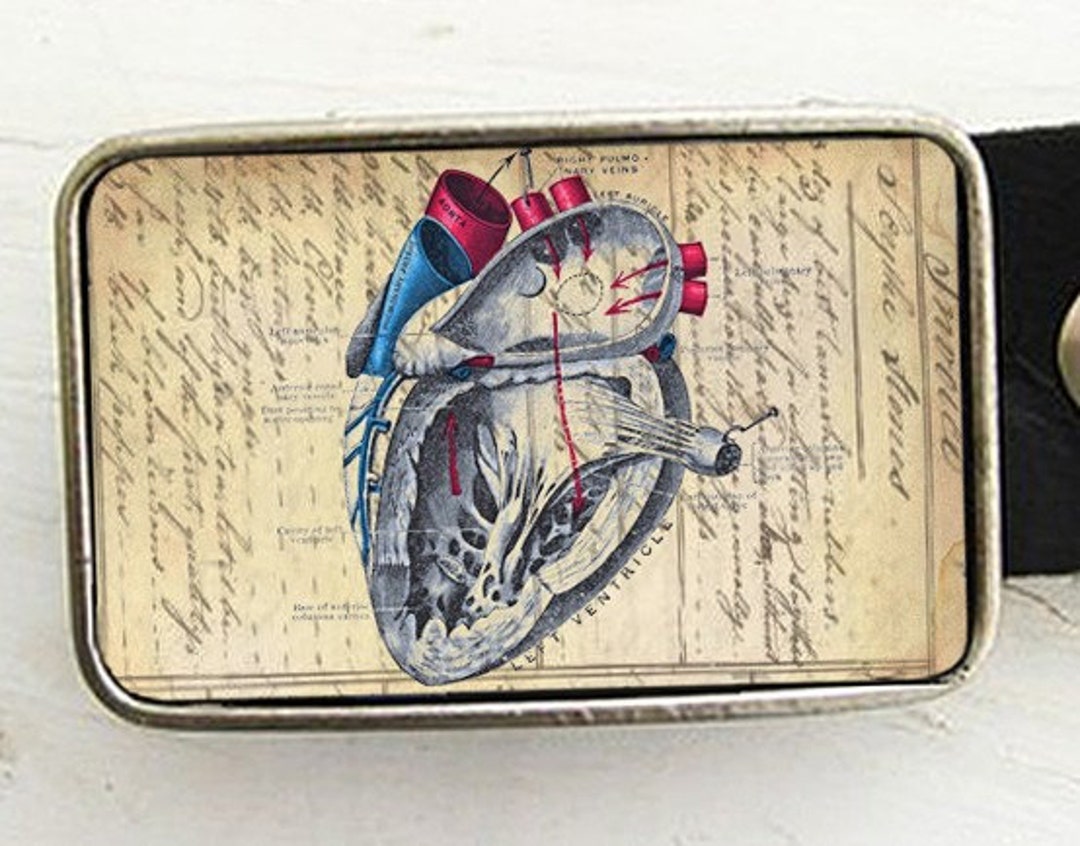 Anatomy of a Heart Belt Buckle - Etsy