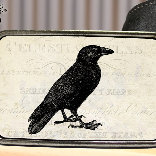 Raven Belt - Etsy