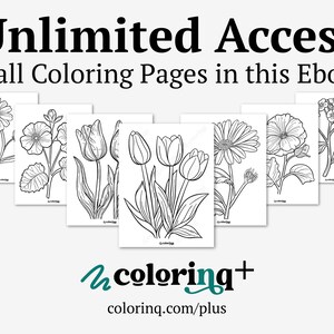 Whispers of Spring 22 Coloring Pages: Coloring Book for All Ages ...