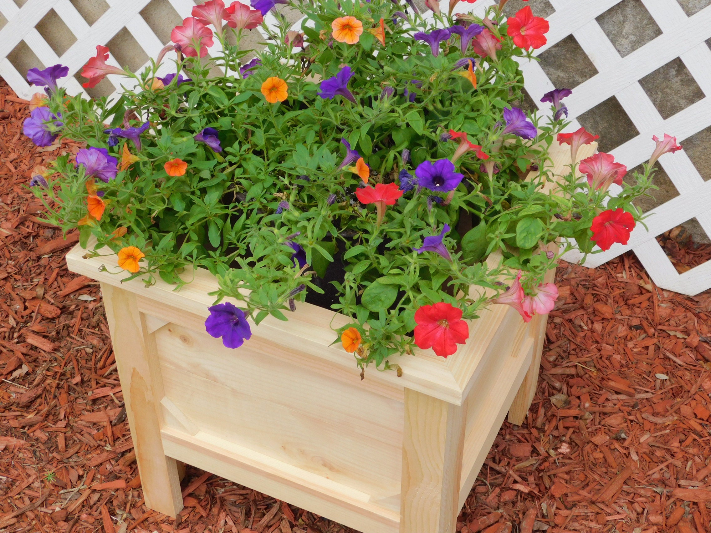 Solid Natural White Pine Planter Box Quality Built Bottom Slot for ...