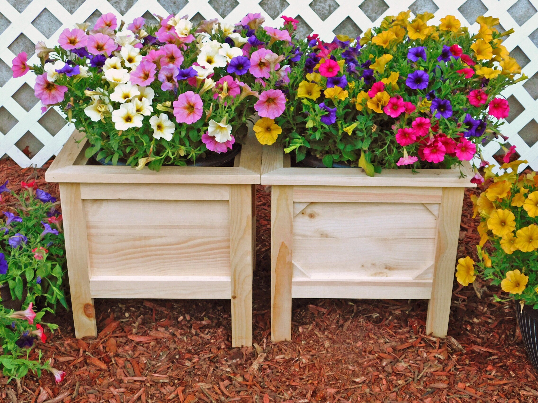 Solid Natural White Pine Planter Box Quality Built Bottom Slot for ...