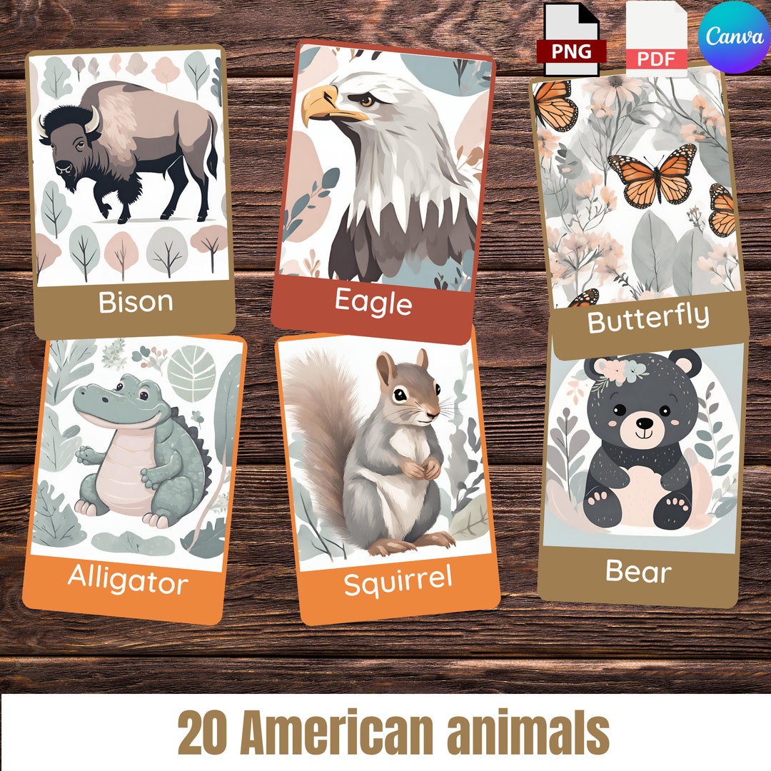 Printable American Animal Flashcards Educational Wildlife Cards Instant ...
