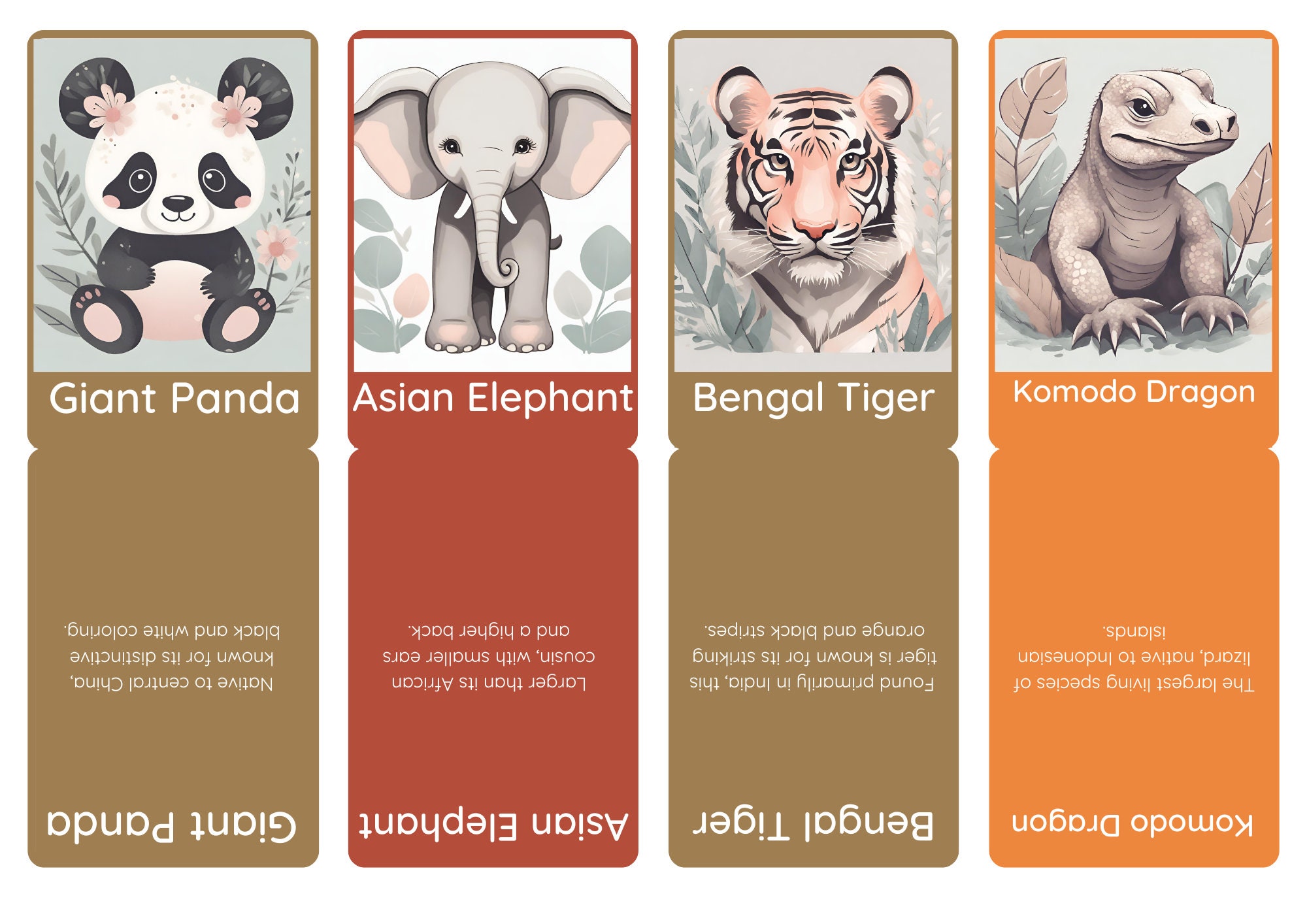Printable Asian Animals Flash Cards Set 18 Educational Wildlife Cards ...