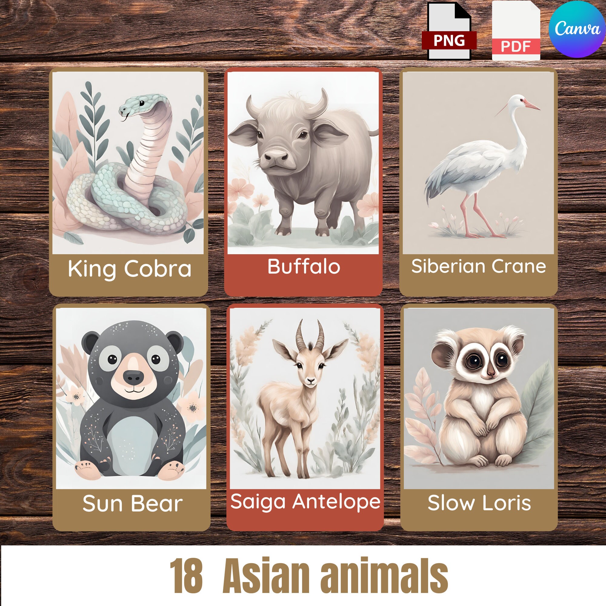 Printable Asian Animals Flash Cards Set 18 Educational Wildlife Cards ...