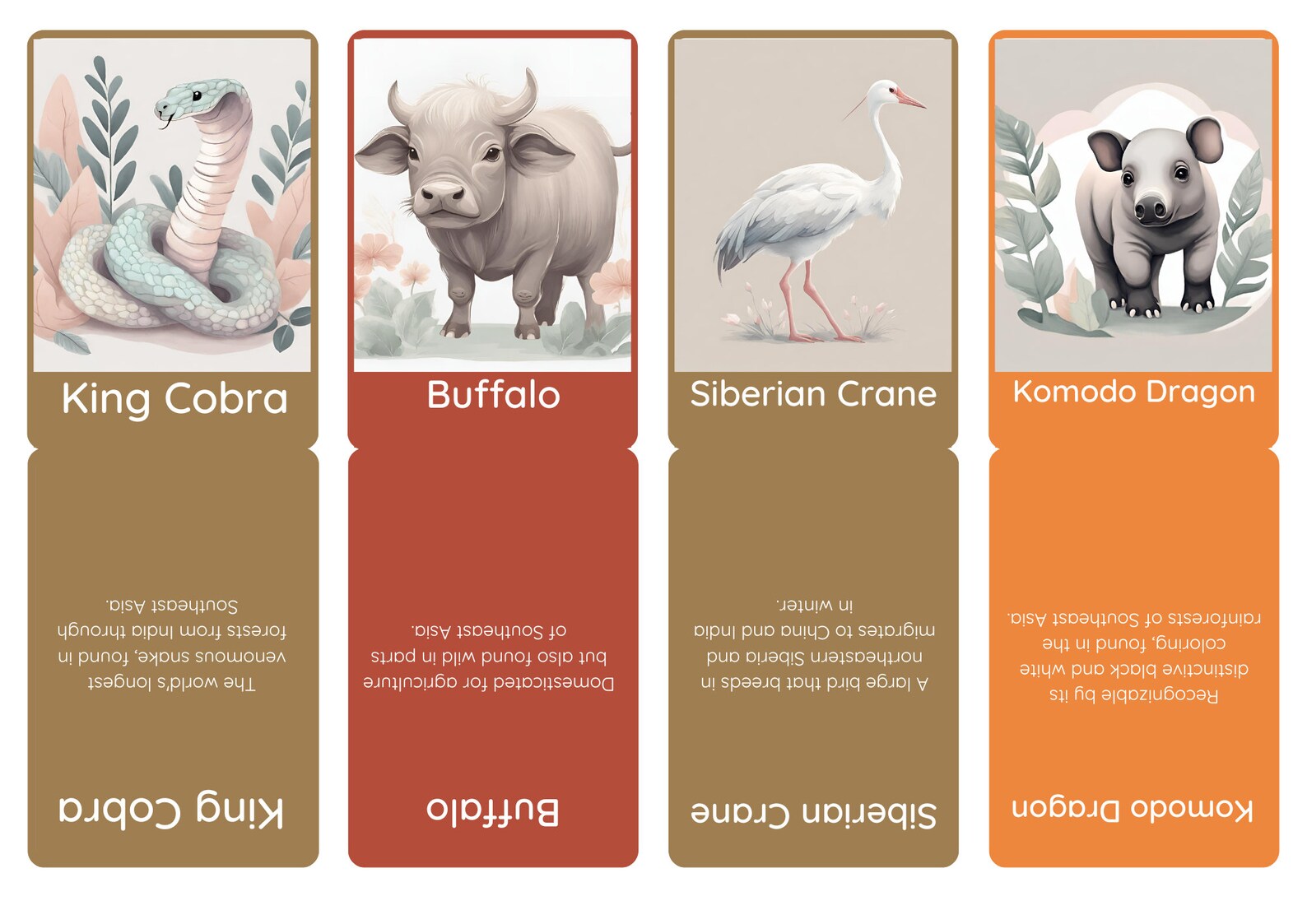 Printable Asian Animals Flash Cards Set 18 Educational Wildlife Cards ...