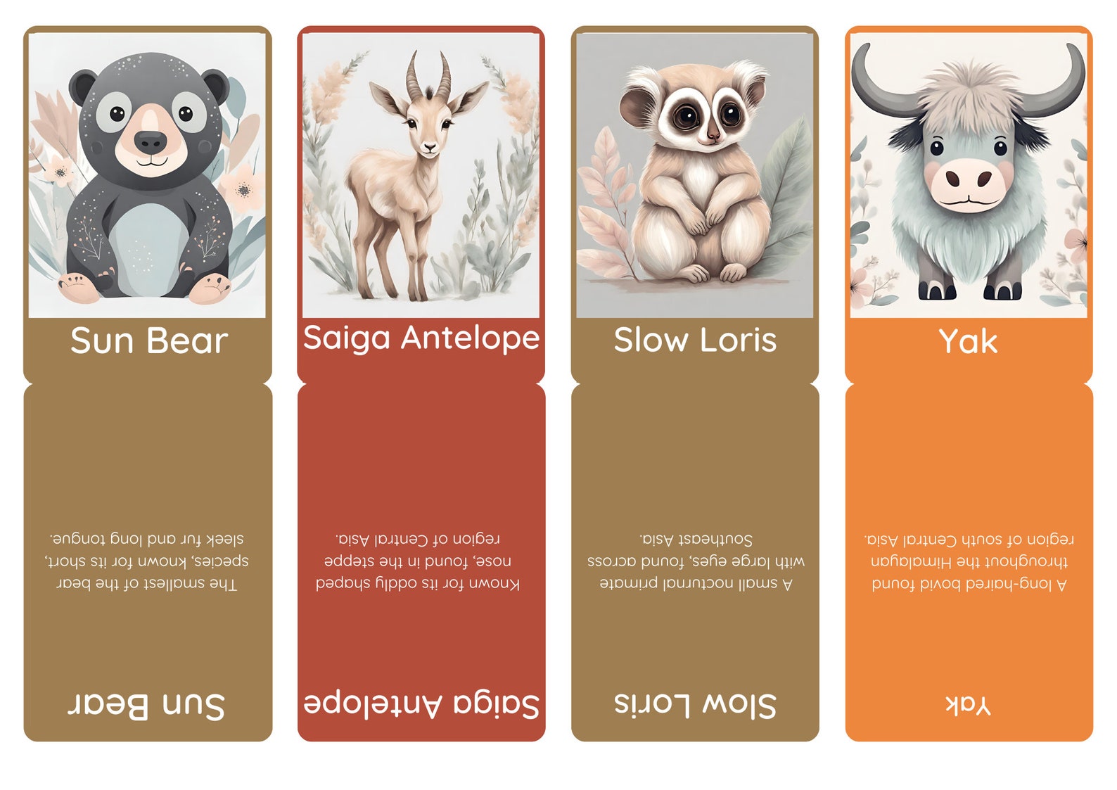 Printable Asian Animals Flash Cards Set 18 Educational Wildlife Cards ...