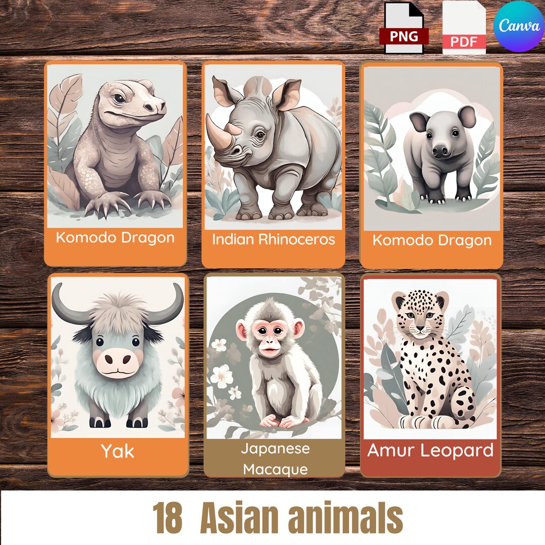 Printable Asian Animals Flash Cards Set 18 Educational Wildlife Cards ...