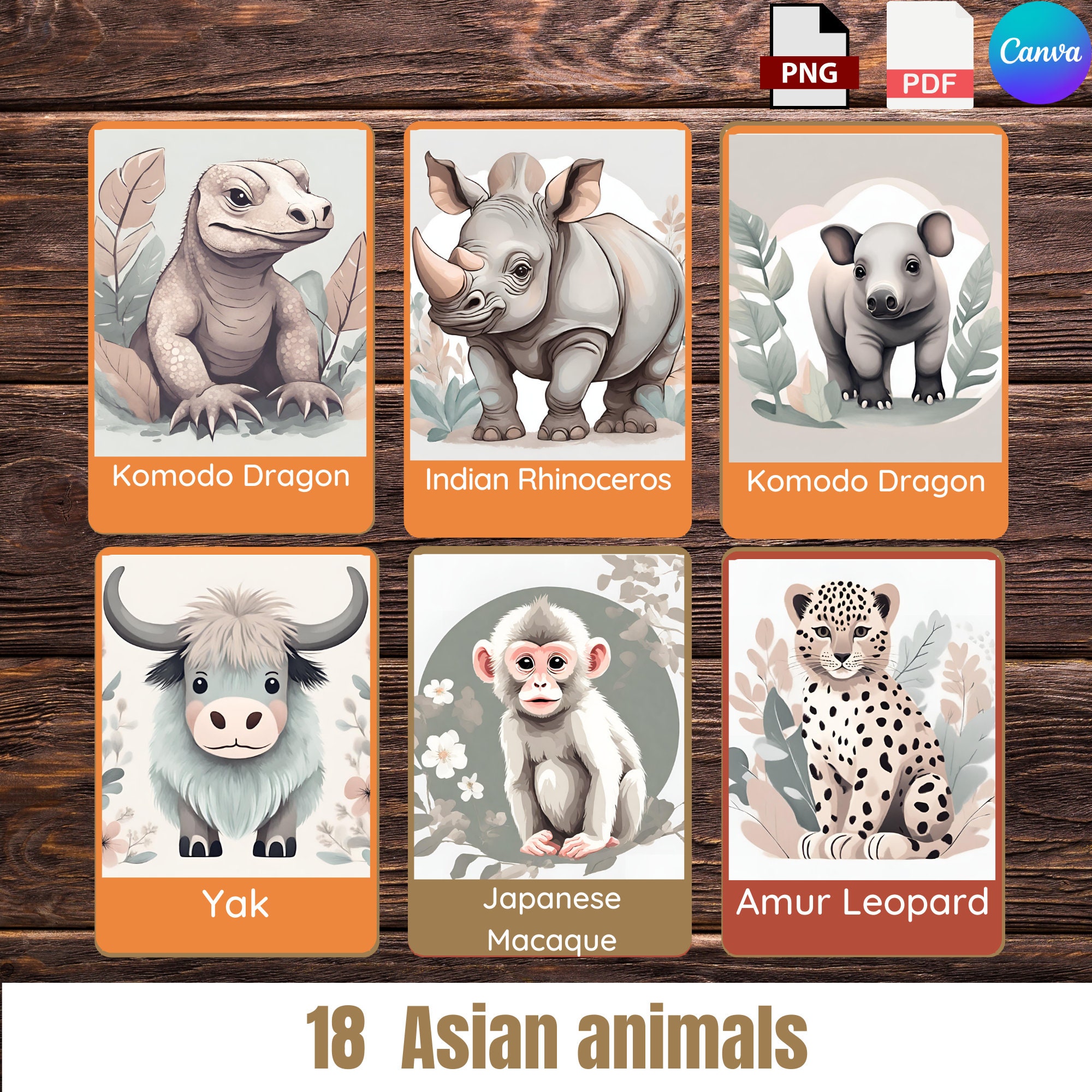 Printable Asian Animals Flash Cards Set 18 Educational Wildlife Cards ...