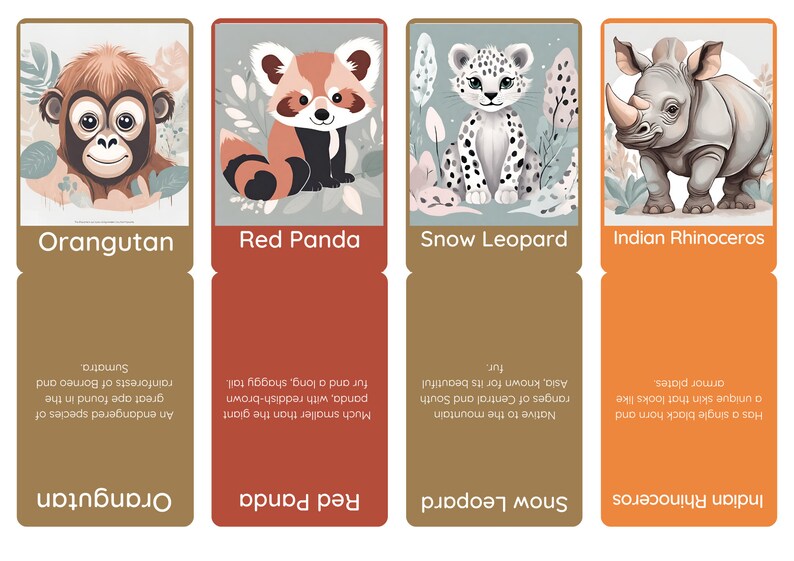 Printable Asian Animals Flash Cards Set 18 Educational Wildlife Cards ...