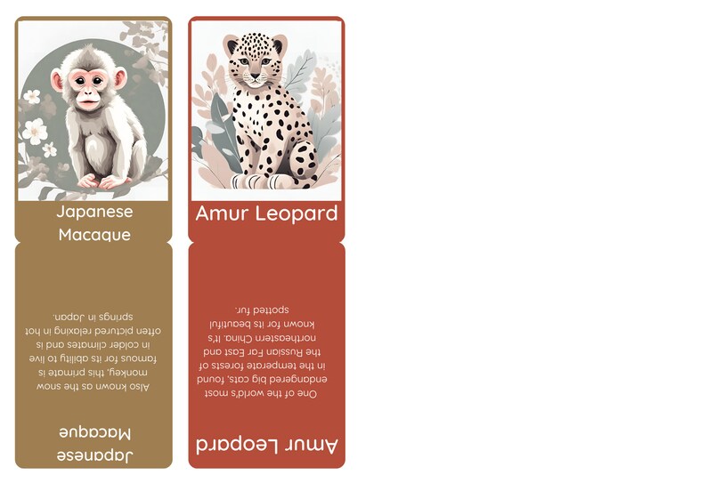 Printable Asian Animals Flash Cards Set 18 Educational Wildlife Cards ...