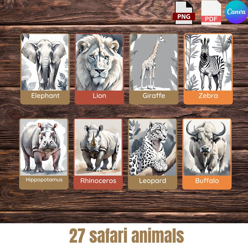 28 Safari Animals Flash Cards Printable PDF, Digital Download ...