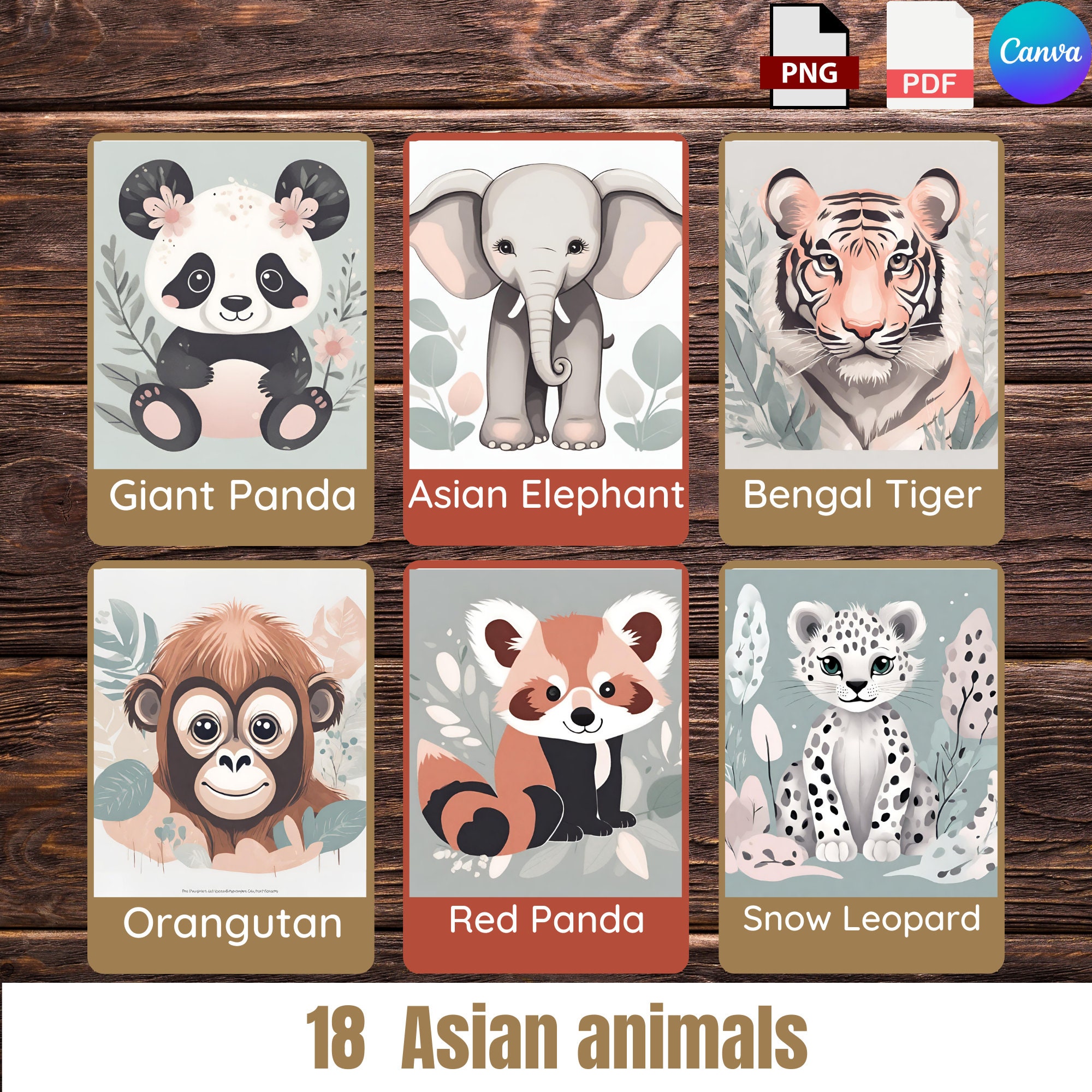Printable Asian Animals Flash Cards Set 18 Educational Wildlife Cards ...