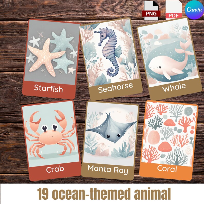 Tarjetas didácticas de animales marinos y oceánicos Ayuda de ...