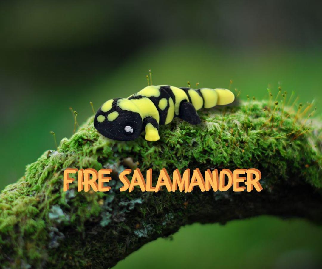 Flexi Fire Salamander - 3D Printed Articulating Fidget Figure - Desk ...