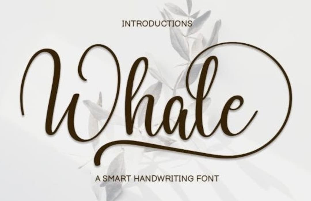 Whale Font, Handwritten Font With Tails, Swirly Font, Thin Font ...