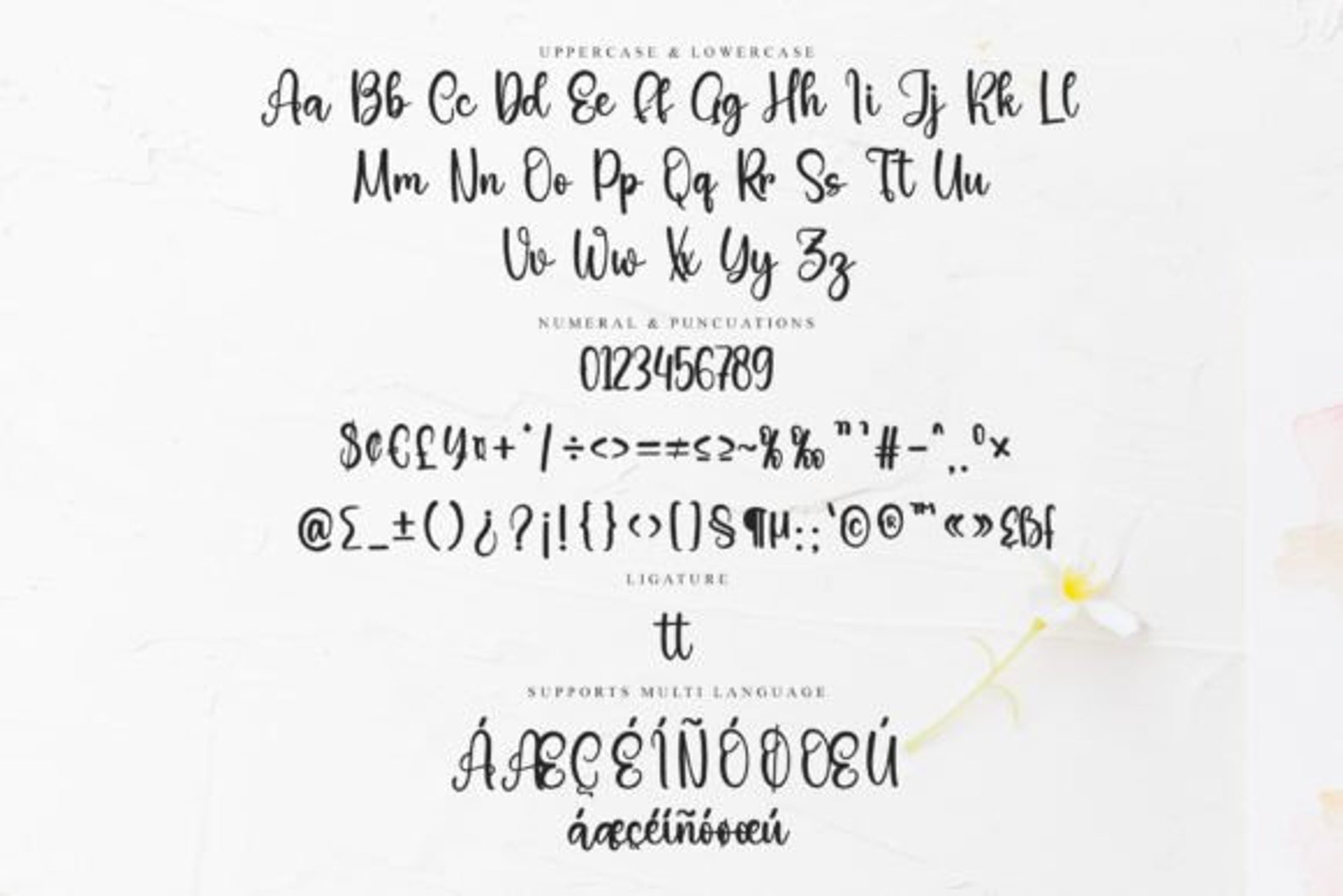 Grateful Font, Simple Handwritten Font, Minimalist Font, Branding Font ...