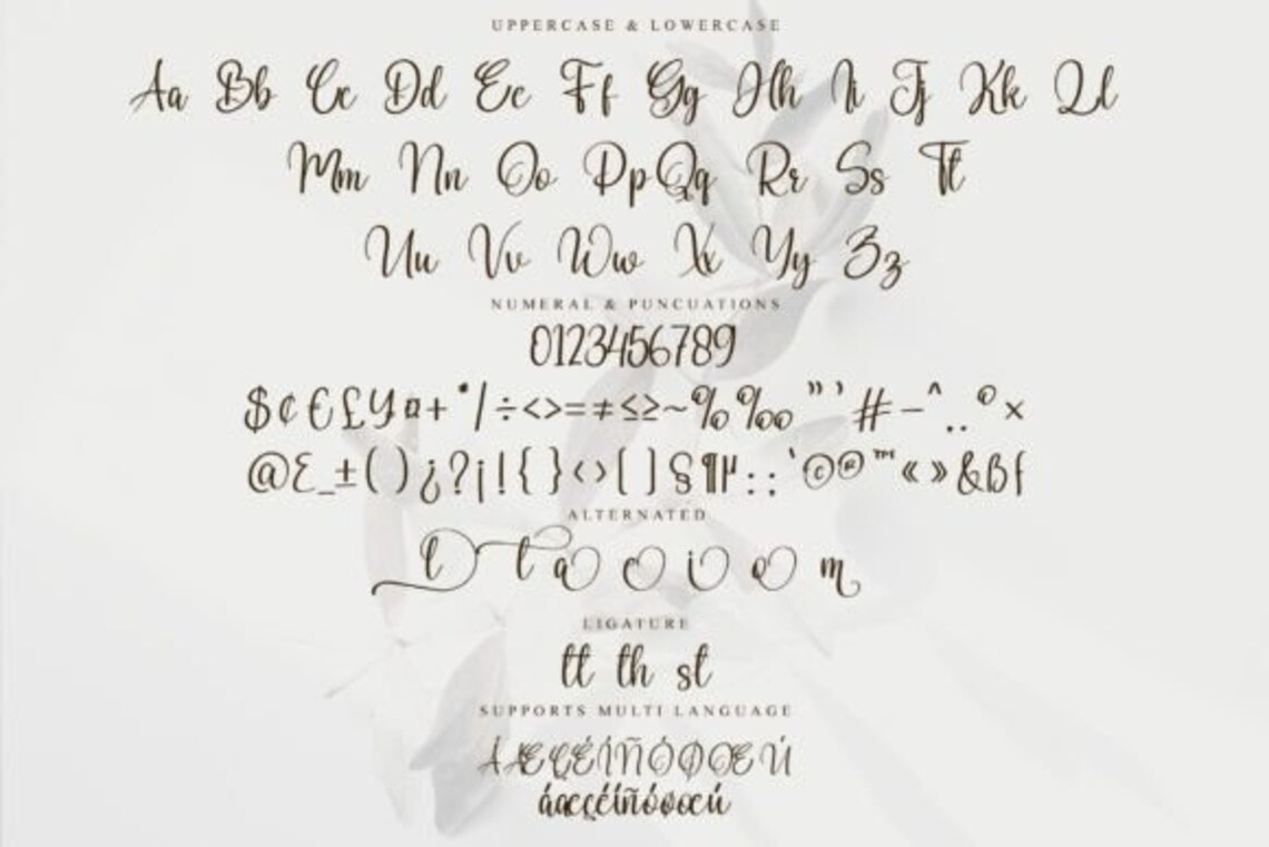 Whale Font, Handwritten Font With Tails, Swirly Font, Thin Font ...