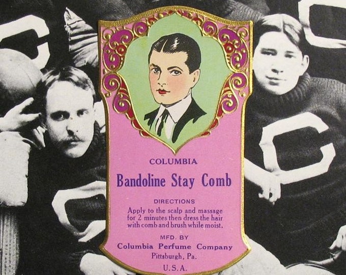 1900s Bandoline Stay Comb Hair Tonic for Men -- Antique Embossed and ...