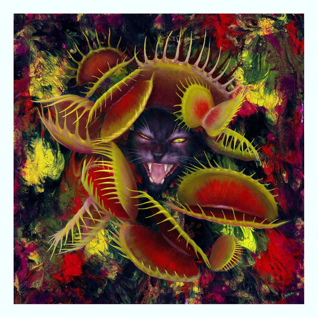 PRINT Carnivorous Plant Cat || "little Fly Eater" || Fine Art ...