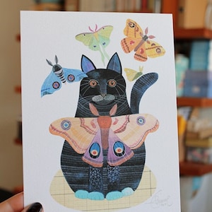 Moth Cat - Etsy