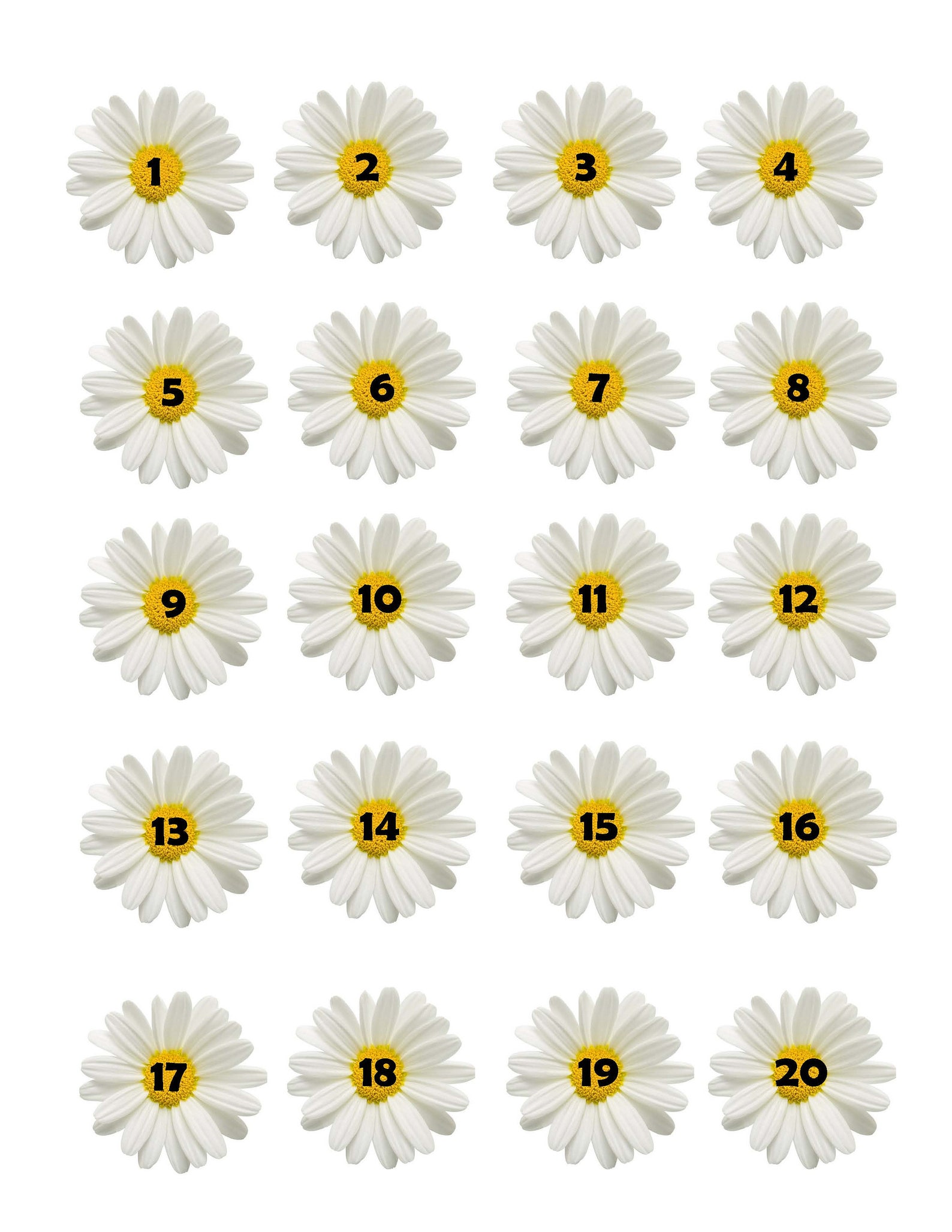 Printable Dates, Day of the Week Numbers, Calendar Dates, Daisy Flower ...