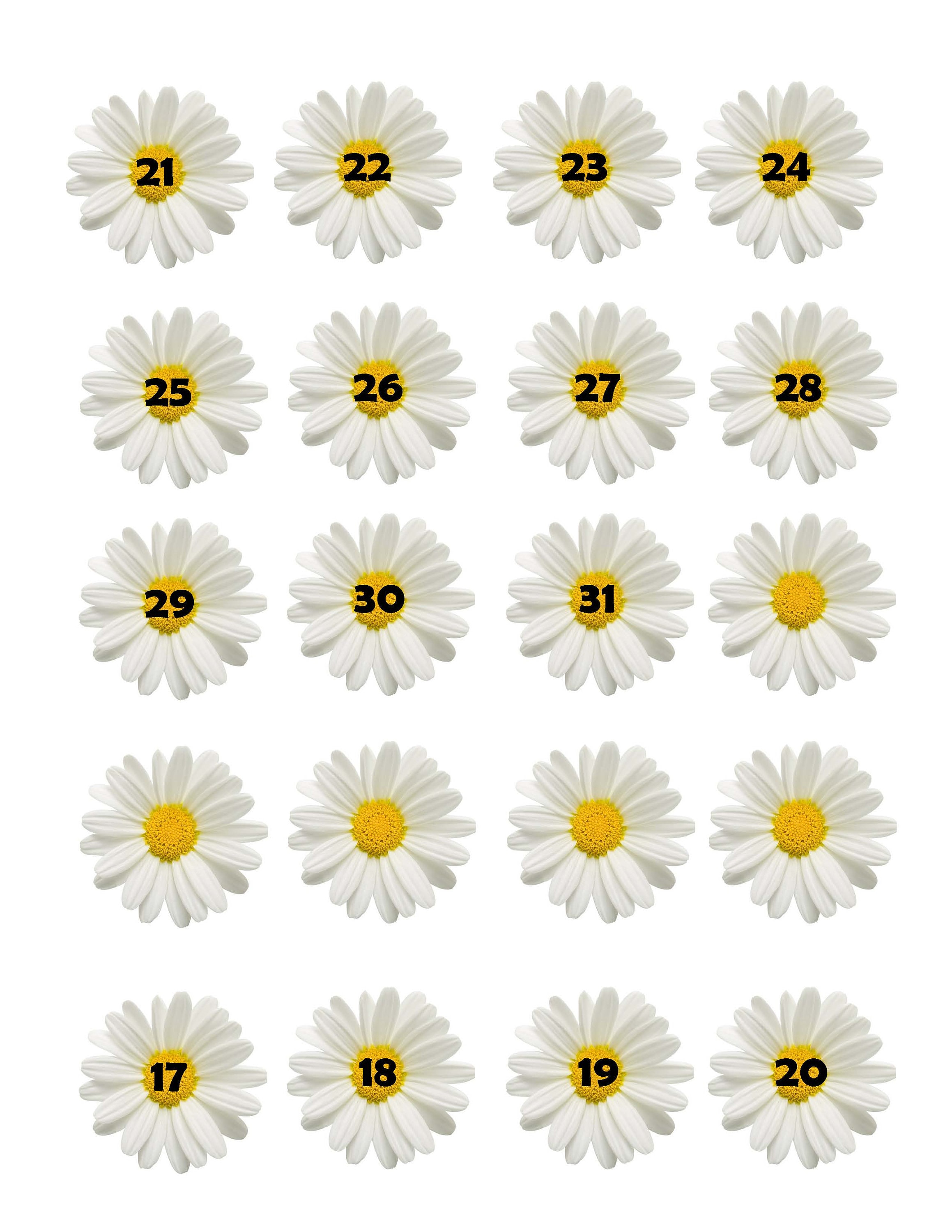 Printable Dates, Day of the Week Numbers, Calendar Dates, Daisy Flower ...
