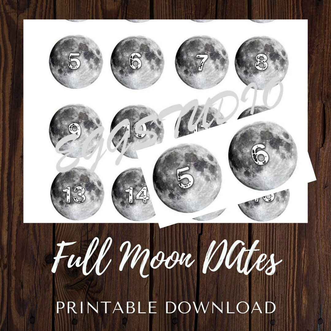 Printable Dates Day of the Week Numbers Calendar Dates Full - Etsy