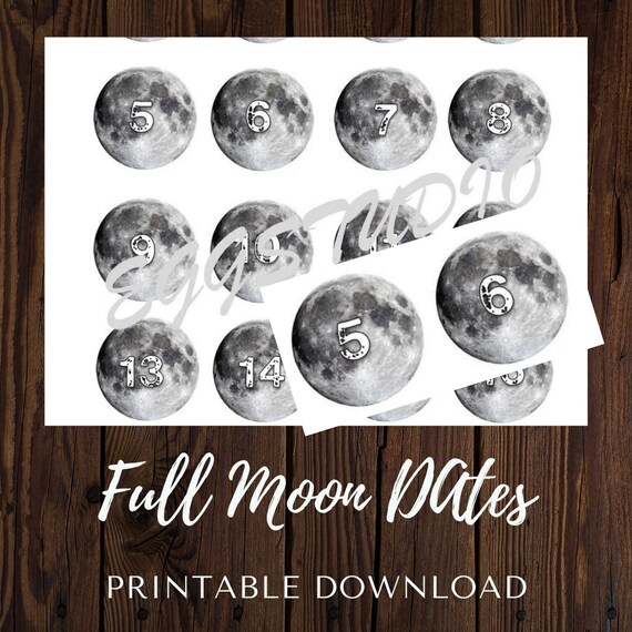 Printable Dates Day of the Week Numbers Calendar Dates Full | Etsy