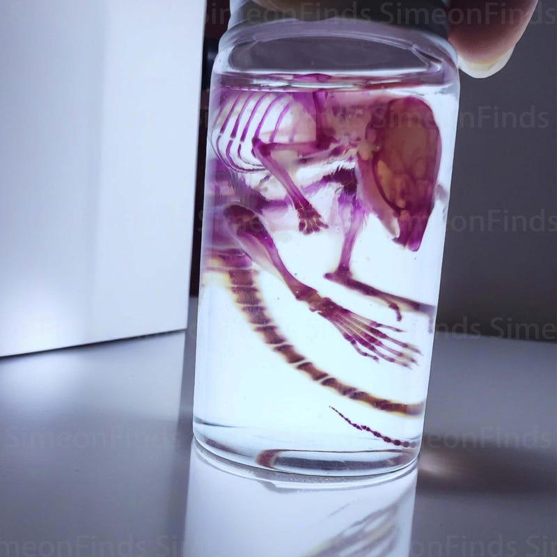 Diaphonization - Etsy