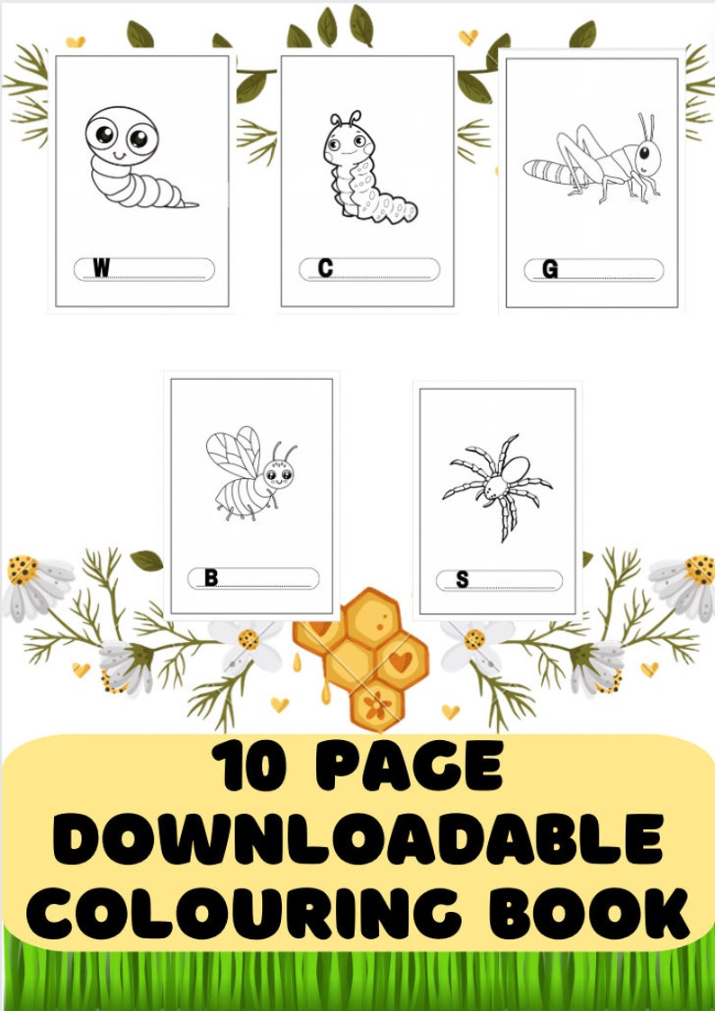Insect and Bug Colouring Book | Learn About Bugs | Colouring Pages ...