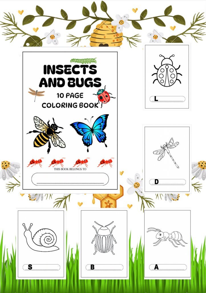 Insect and Bug Colouring Book | Learn About Bugs | Colouring Pages ...