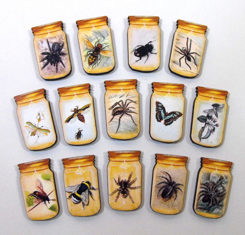 Collection of Bugs in Jars 15 Wood Cut Specimens | Etsy