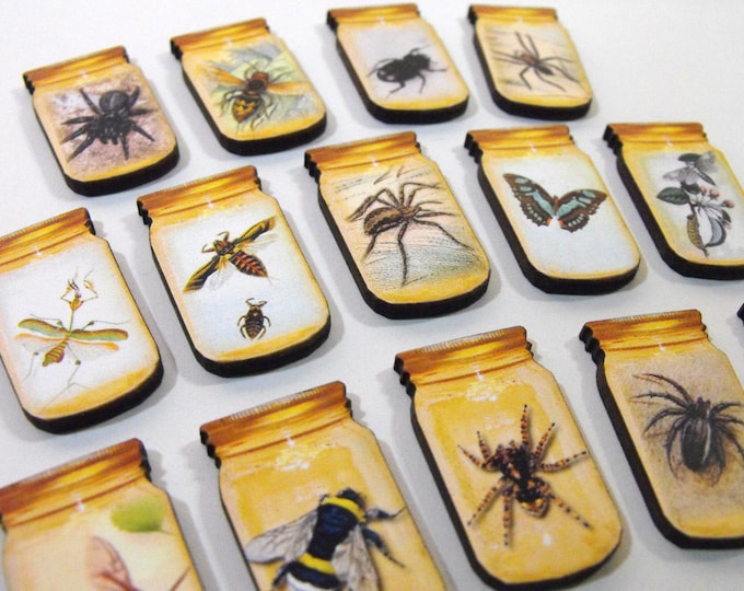 Collection of Bugs in Jars 15 Wood Cut Specimens - Etsy