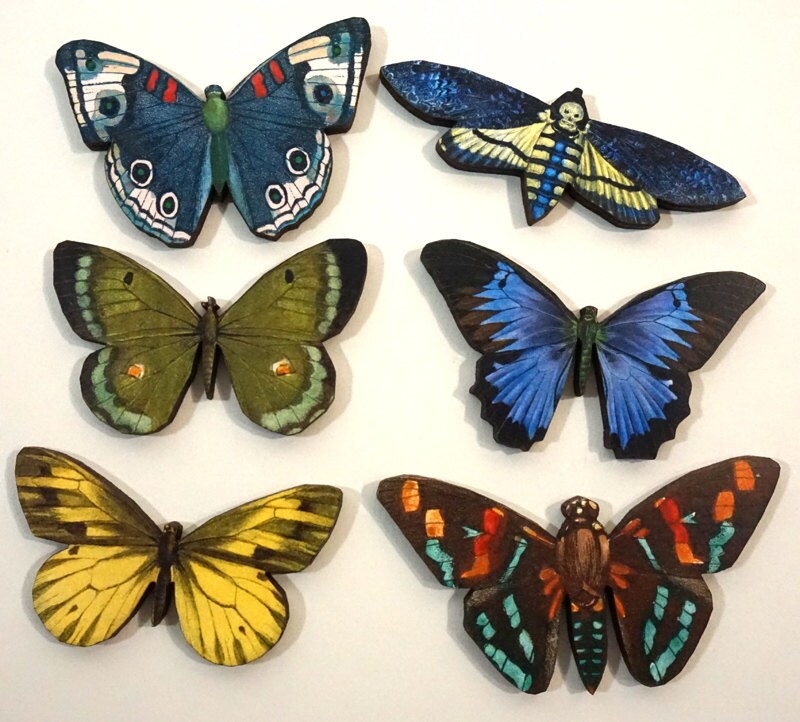Exotic Butterflies Collection of 11 Wooden Laser Cut Pieces | Etsy
