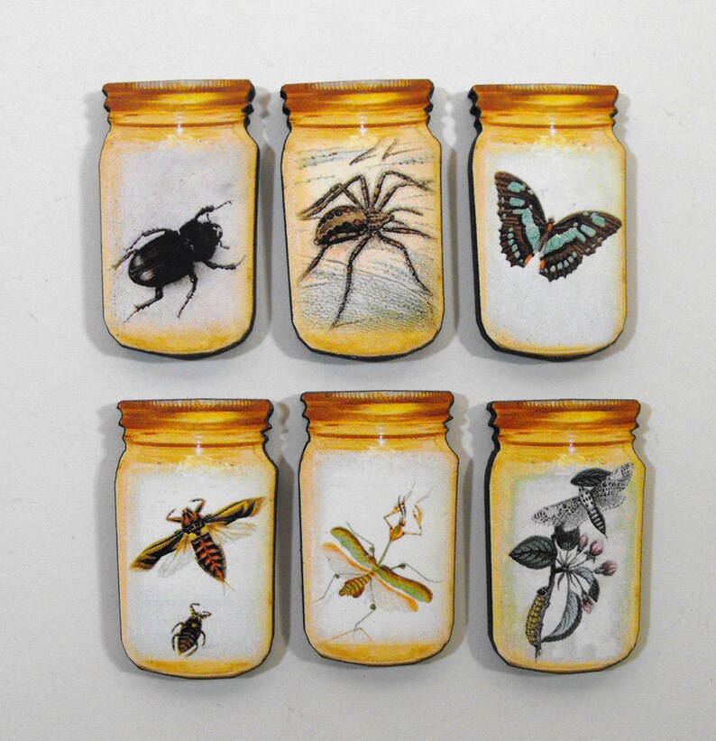 Collection of Bugs in Jars 15 Wood Cut Specimens | Etsy