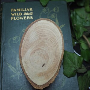 English Ash Wood Labyrinth Altar Piece Wicca, Witchcraft, Pagan ...