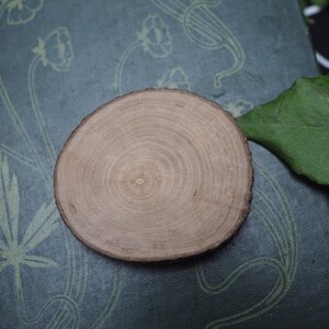 Rowan Wood Seven-walled Labyrinth Amulet, Goddess, Transformation Wicca ...