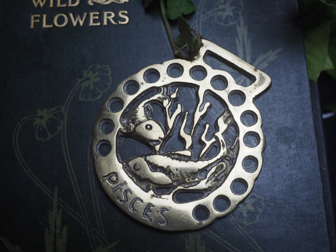 Vintage Pisces Horse Brass: the Fish - Star Sign - Traditional ...