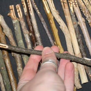 Long Celtic Tree Ogham Staves Made With Corresponding Woods - With Bag ...